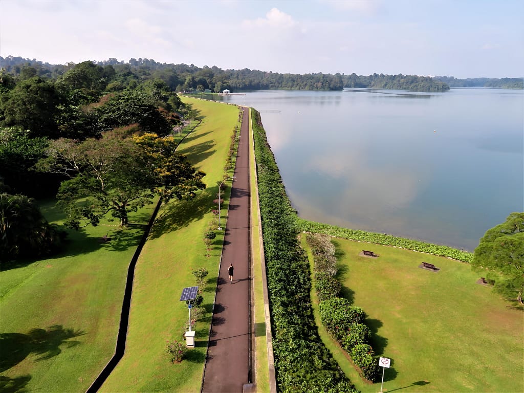 SPRINGLEAF RESIDENCE