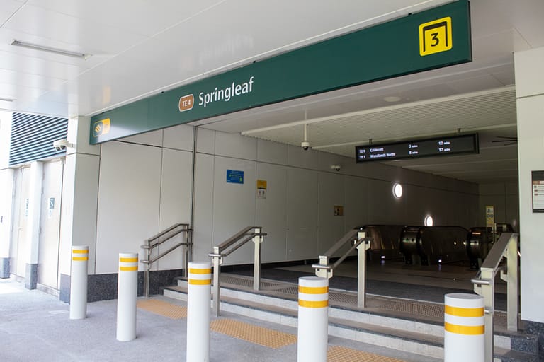 SPRINGLEAF RESIDENCE