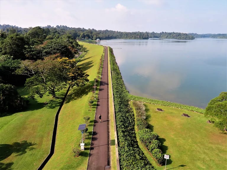 Springleaf Residence